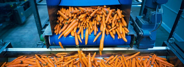 Tracciabilità lotti: cosa significa e quali vantaggi produce Tracciabilità lotti: cosa significa e quali vantaggi produce